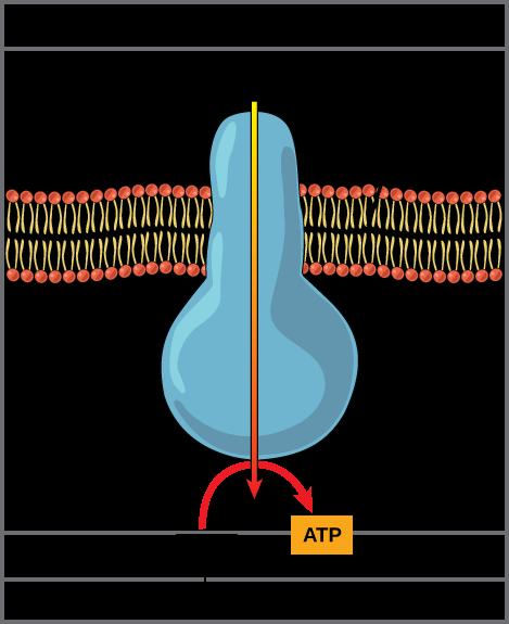 Oxidative Phosphorylation | OpenStax: Biology | Study Guides Oxidative Phosphorylation | OpenStax: Biology | Study Guides